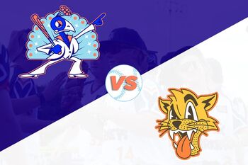 Carolina Disco Turkeys - Collegiate Summer Baseball vs. Uwharrie Wampus ...