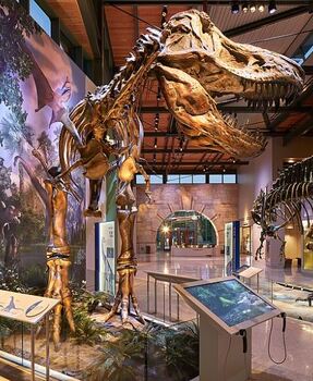 The Witte Museum - San Antonio, TX - 2022-06-04 @ 2022-06-04