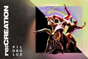 Pilobolus - Des Moines, IA - 2024-03-27 @ 2024-03-27