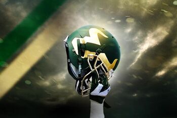 South Florida Bulls - NCAA Football vs UTSA Roadrunners - Tampa, FL ...